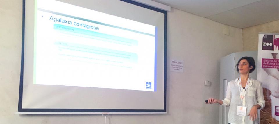 HIPRA wins second prize for oral presentation at the most recent SEOC ...