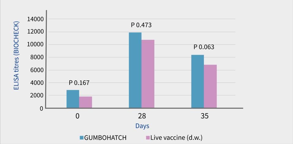 GUMBOHATCH® INSIGHTS #11 | HIPRA