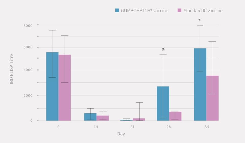 GUMBOHATCH® INSIGHTS #3 | HIPRA