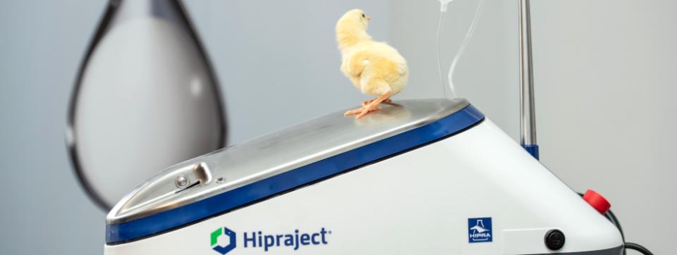 GUMBOHATCH® INSIGHTS #11 | HIPRA