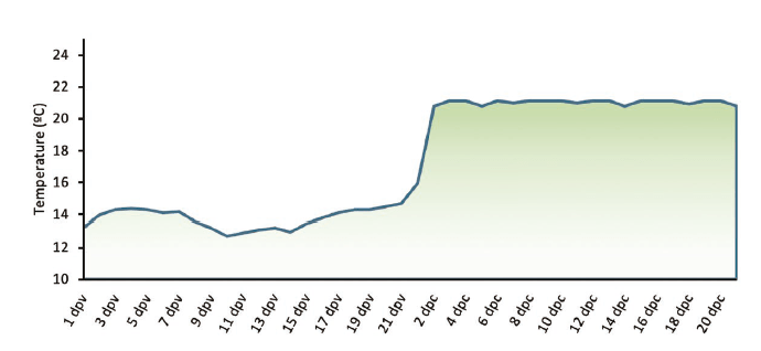 VACCINATION IN FISH FARMS: The importance of immunization against ...