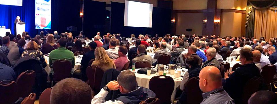 HIPRA launched VEPURED® in Canada during the Banff Pork Seminar | HIPRA
