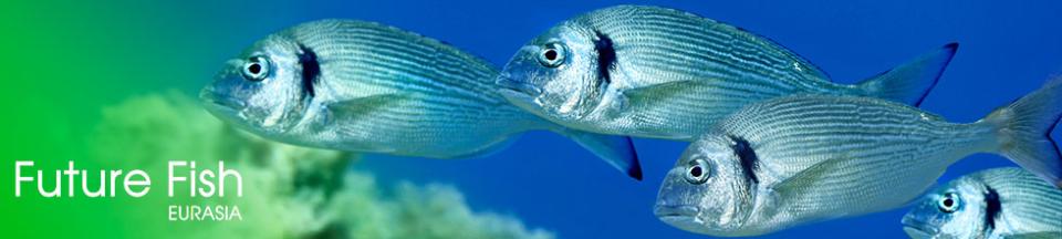 HIPRA at Future Fish Eurasia'18 | HIPRA