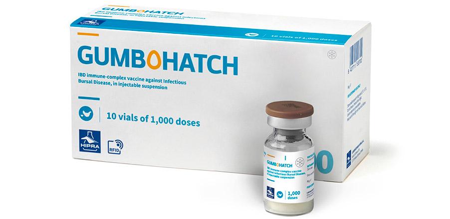 Innovation reaches the hatchery with GUMBOHATCH® | HIPRA