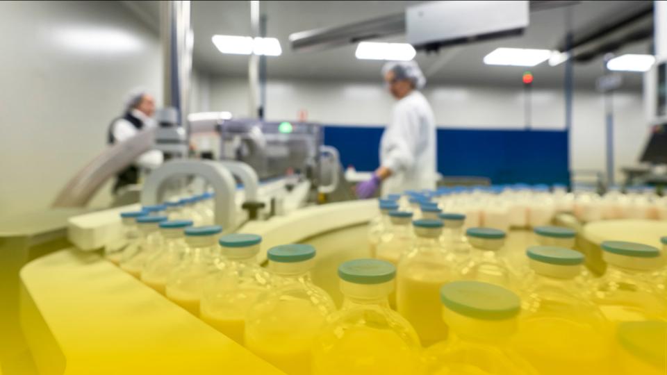 MEET THE POULTRY: Curiosities of the Poultry Industry | HIPRA