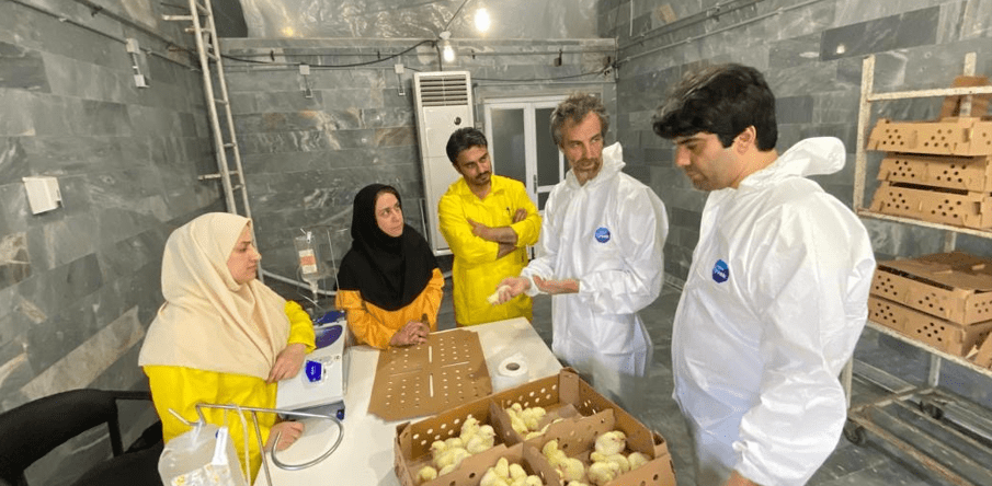 Global Hatchery Health Programme | HIPRA