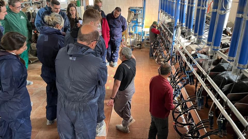 HIPRA | VIMCO® vaccine against caprine and ovine mastitis