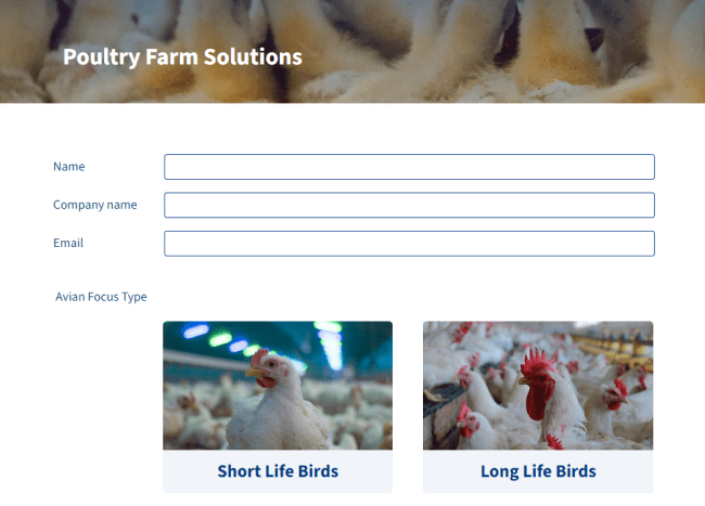 HIPRA presents an innovative solution for vaccination planning on poultry farms | HIPRA
