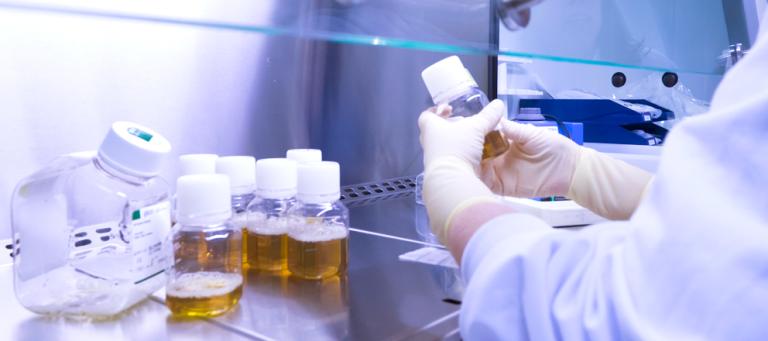 Rabbit haemorrhagic disease (RHD) | HIPRA