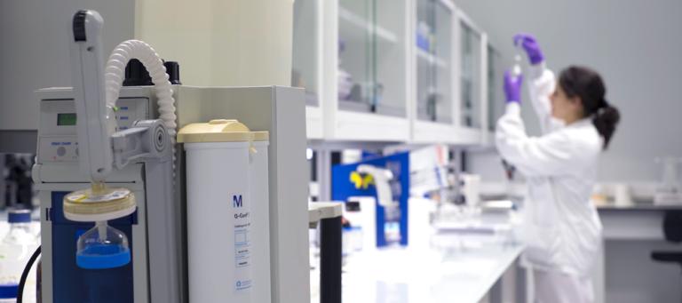 Mastitis in small ruminants | HIPRA