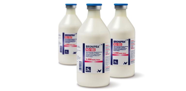 HIPRA | BRONIPRA® ND/IBD vaccine infectious bronchitis