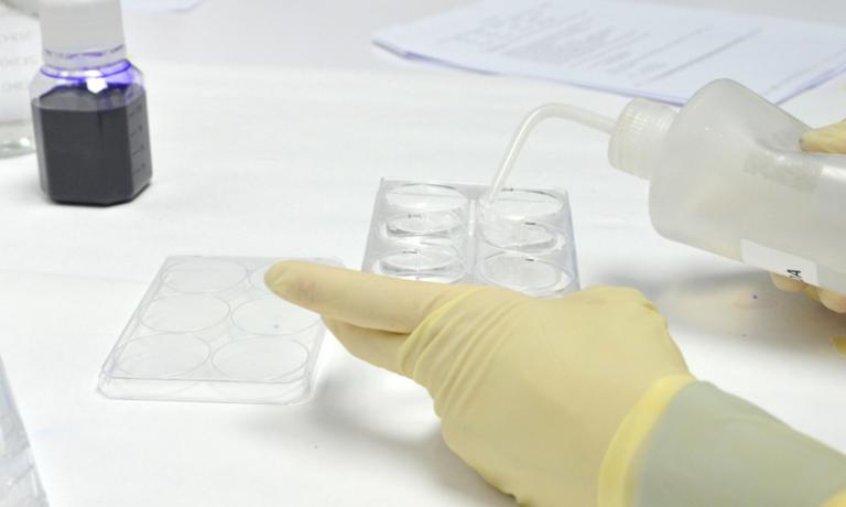 HIPRA | VIMCO® vaccine against caprine and ovine mastitis