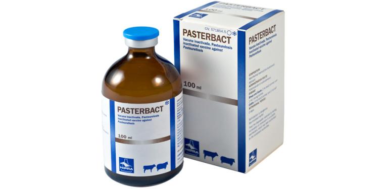HIPRA | PASTERBACT® vaccine pasteurellosis in ruminant