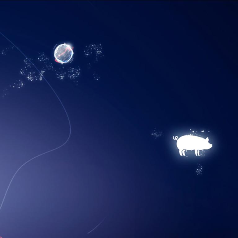 RHINISENG®: Efficacy of the basic vaccination scheme (vaccination and revaccination) and the ...