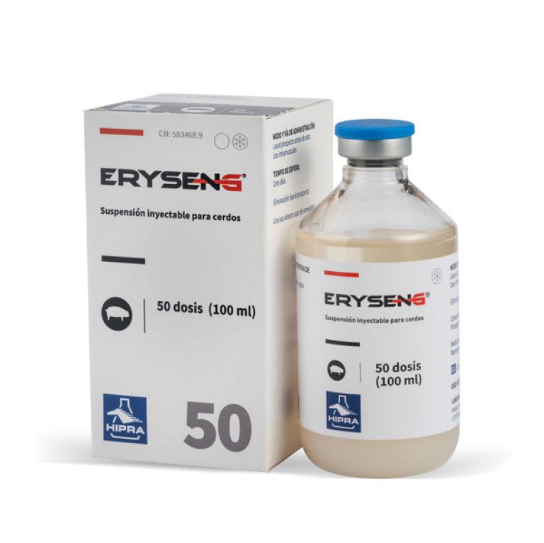 Swine Erysipelas | HIPRA