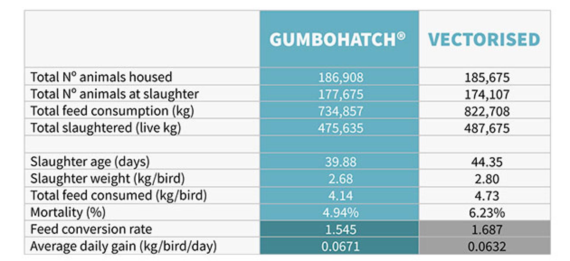 GUMBOHATCH® INSIGHTS #11 | HIPRA